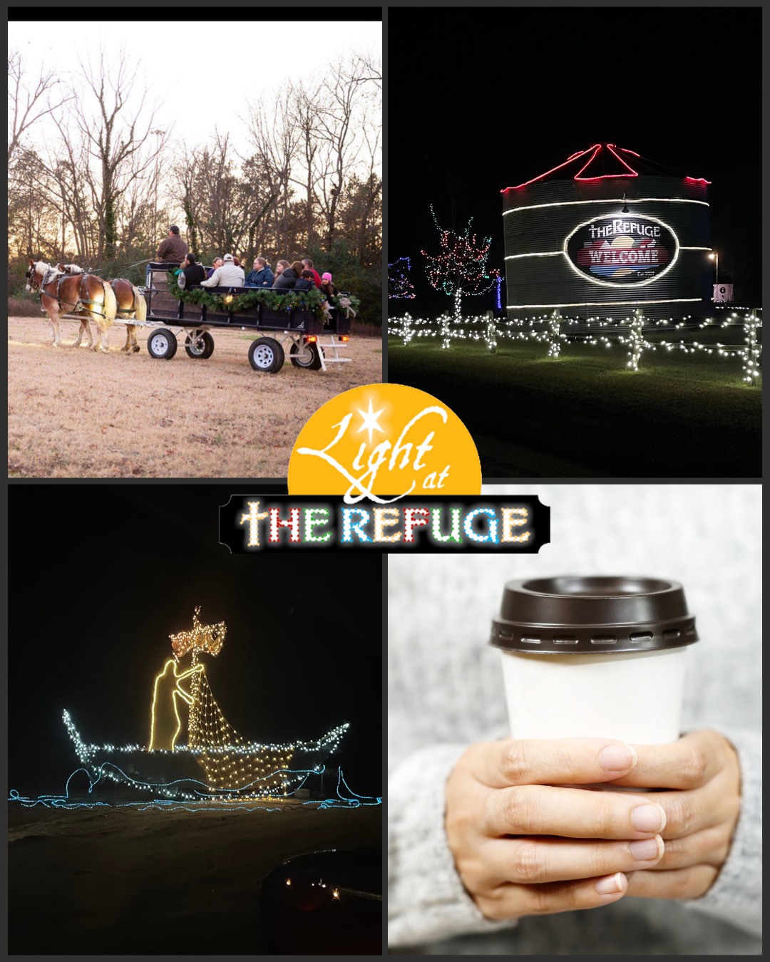 Celebrating Summer - The Refuge